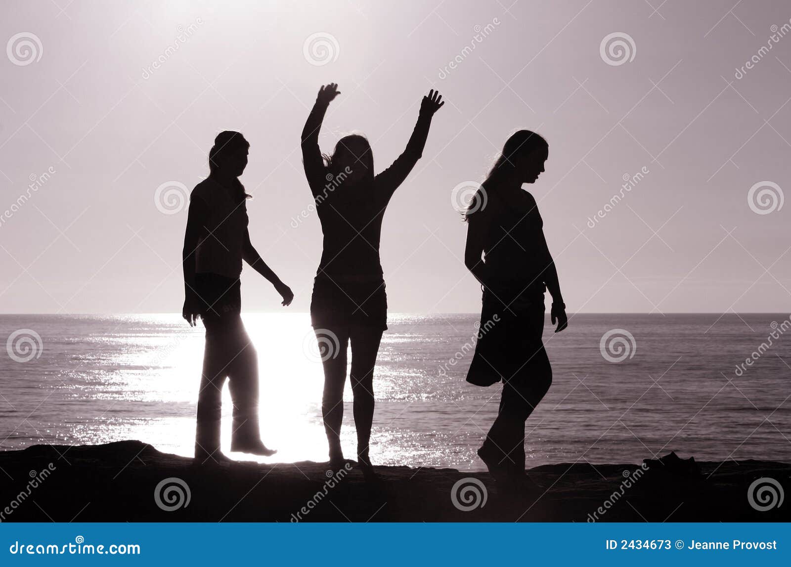Feeling joyful stock image. Image of friendship, joyful - 2434673