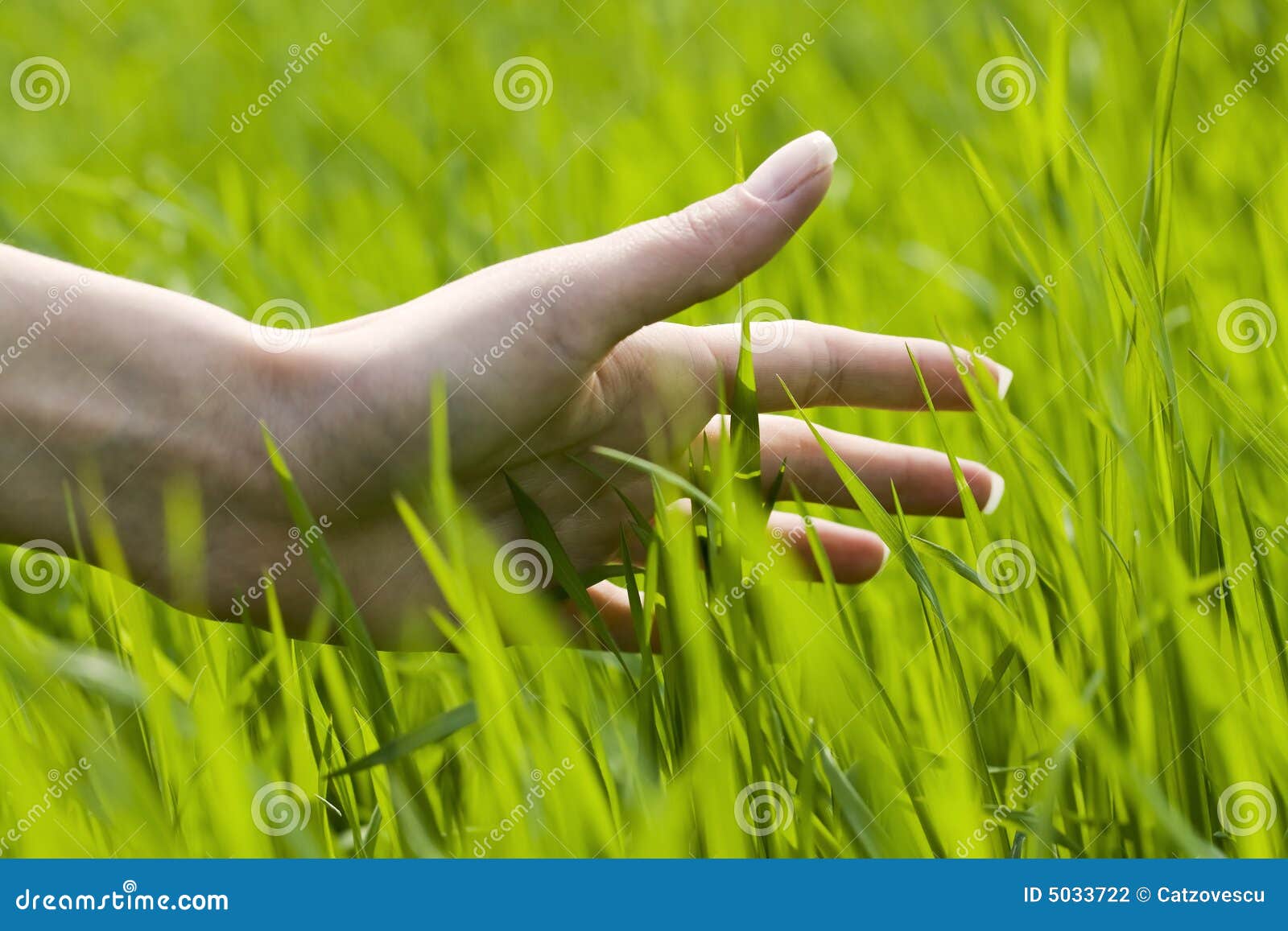 feeling nature stock photo. Image of isolated, color - 5033722