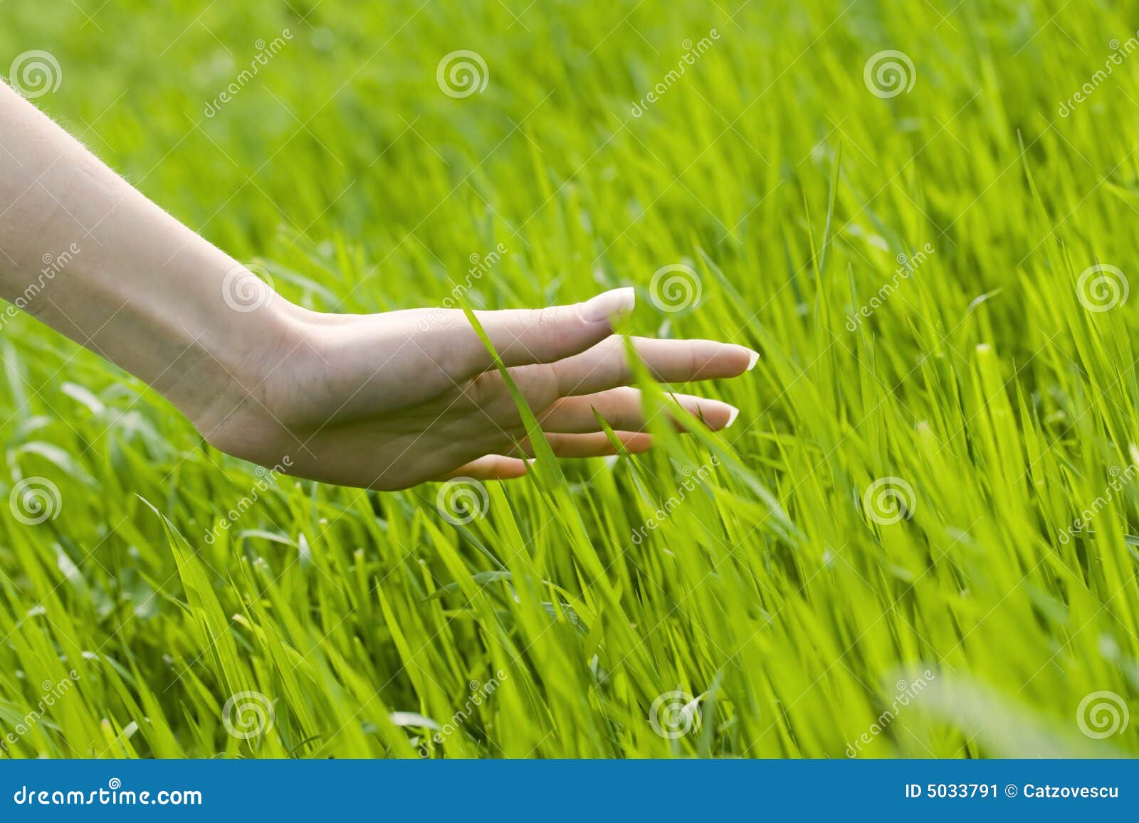 feeling nature stock image. Image of relaxation, growth - 5033791