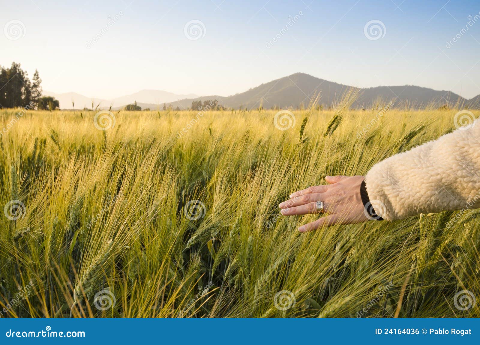 Feeling peaceful stock photo. Image of landscape, healthy - 24164036