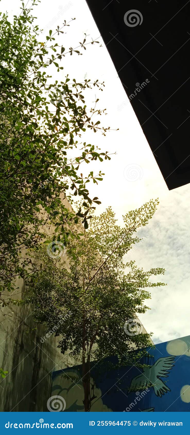 Feels Like Queen. Kid Wear Golden Crown Symbol Of Princess. Every Girl ...