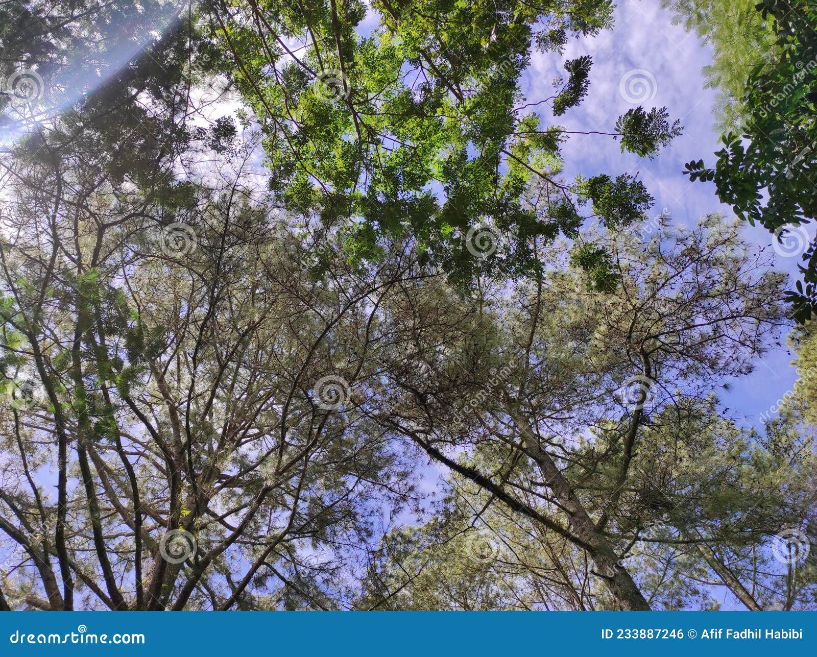 Feels Like Queen. Kid Wear Golden Crown Symbol Of Princess. Lady Little ...