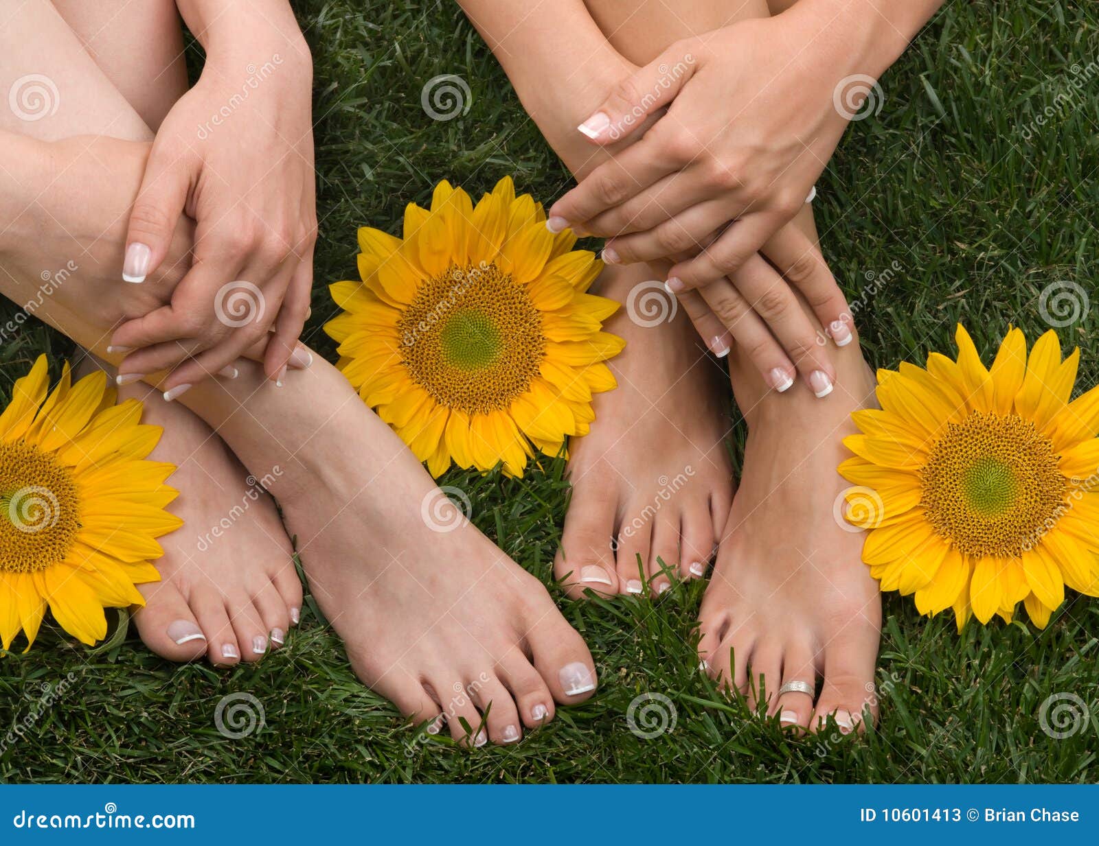Feet stock image. Image of floral, foot, healthy, hand - 10601413