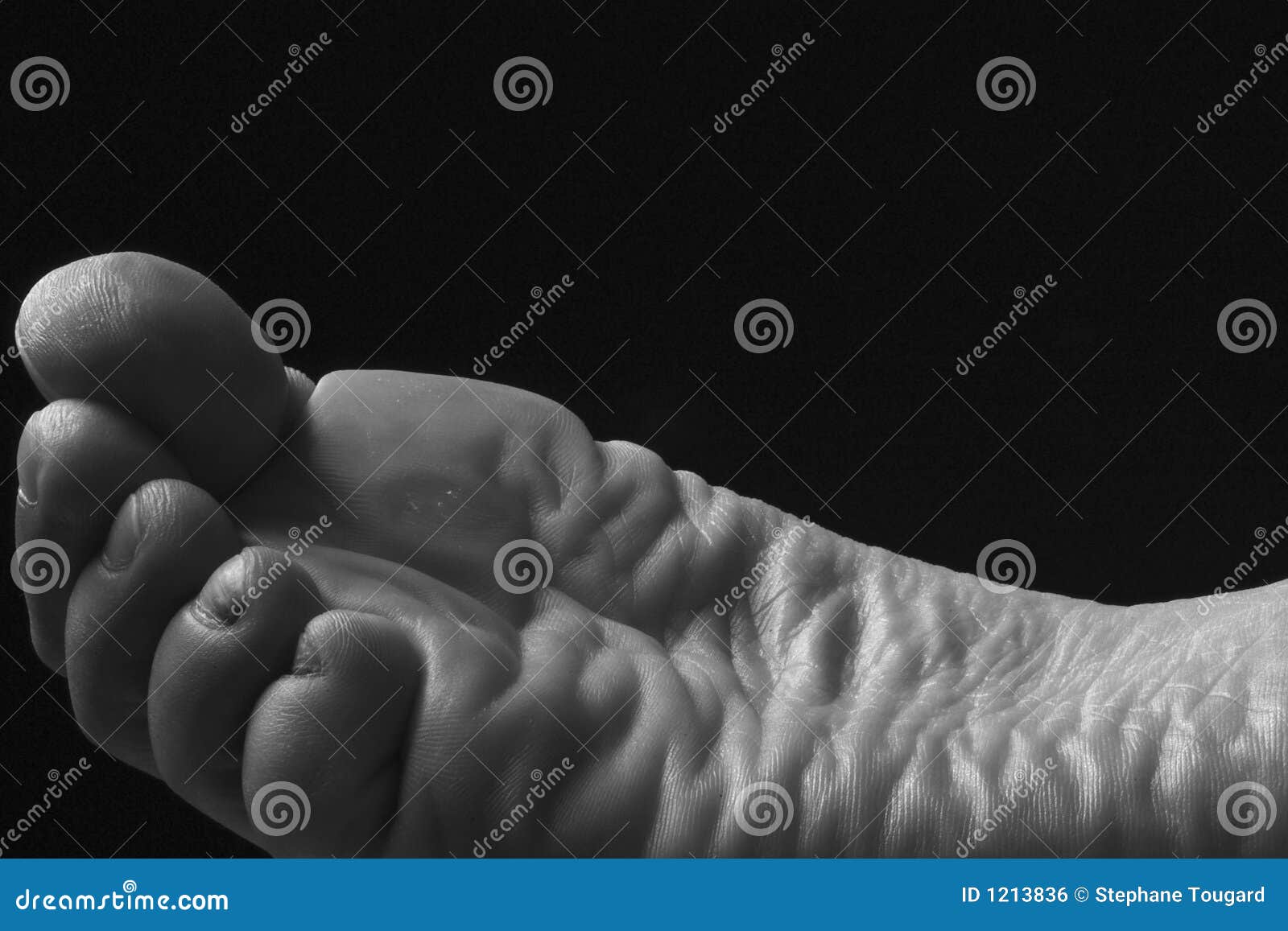 Feet Picture. Image: 1213836