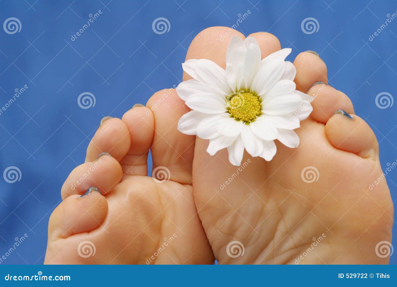 Feet stock photo. Image of flower, soft, background, feet - 529722