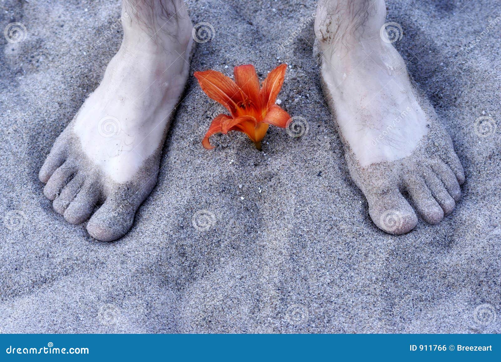 Grounded Feet Photos - Free & Royalty-Free Stock Photos from Dreamstime