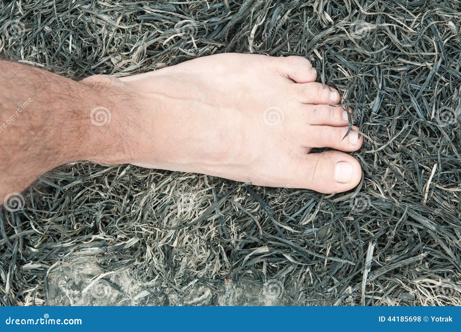Feet on ash stock photo. Image of environmental, destruction - 44185698