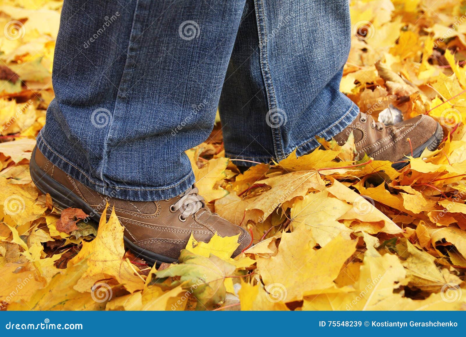 Feet on the autumn leaves stock image. Image of female - 75548239