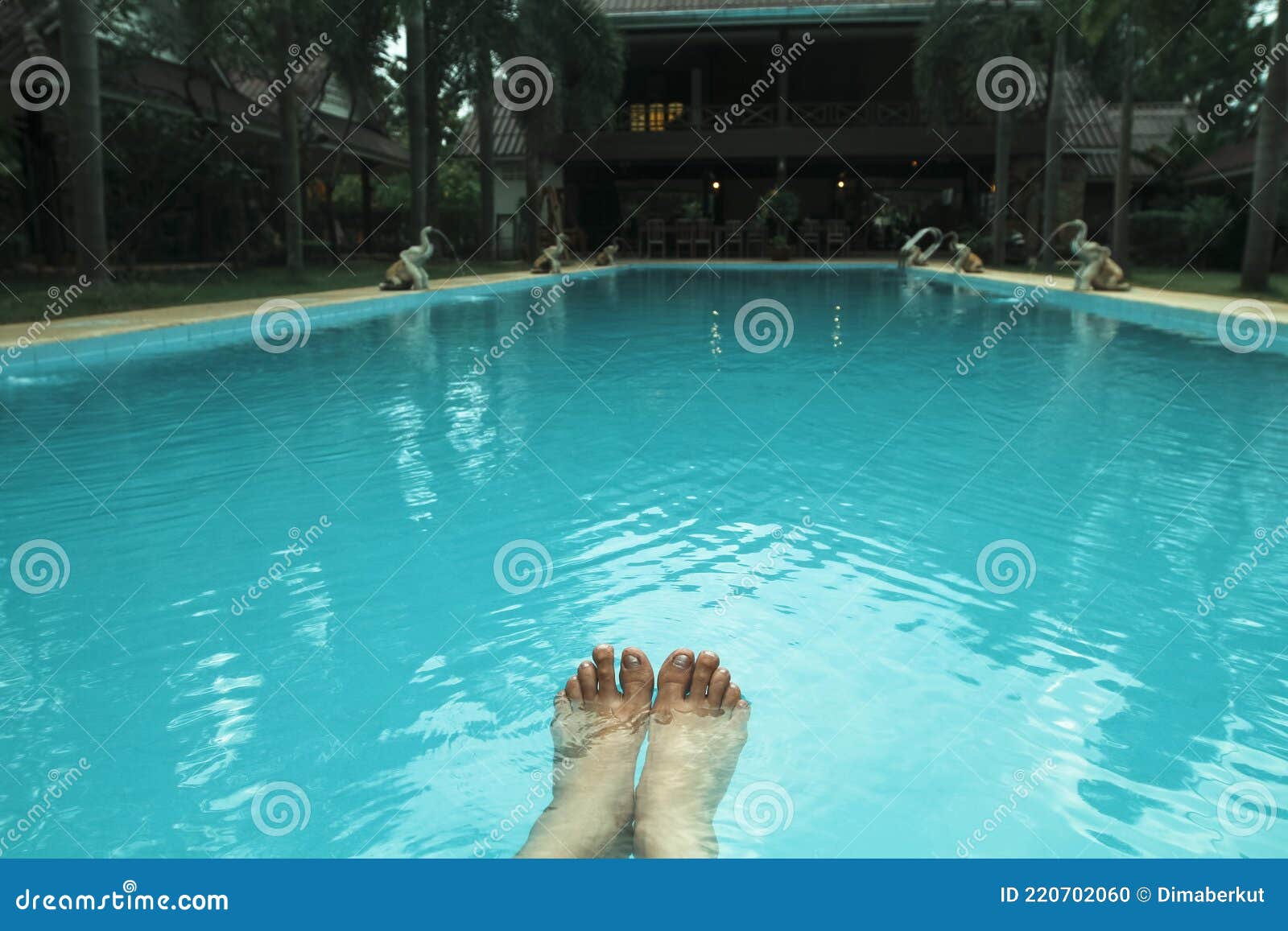Feet on the Background of the Blue Water of the Swimming Pool Stock ...