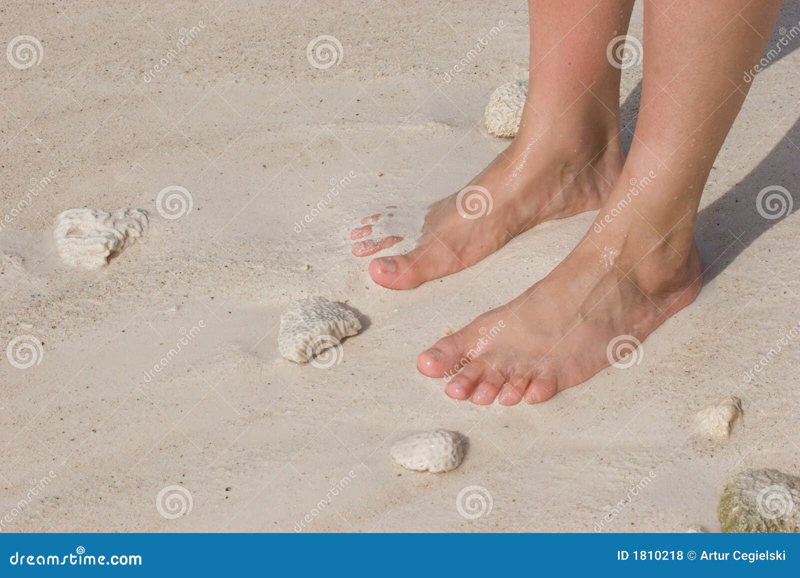 Feet on beach stock photo. Image of summer, warm, sund - 1810218