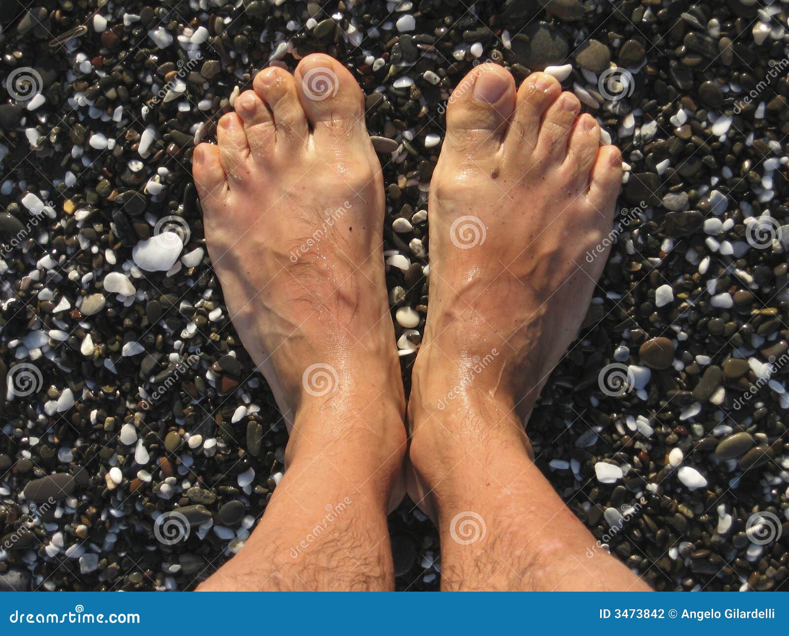 Feet on the beach stock photo. Image of beach, foot, stand - 3473842