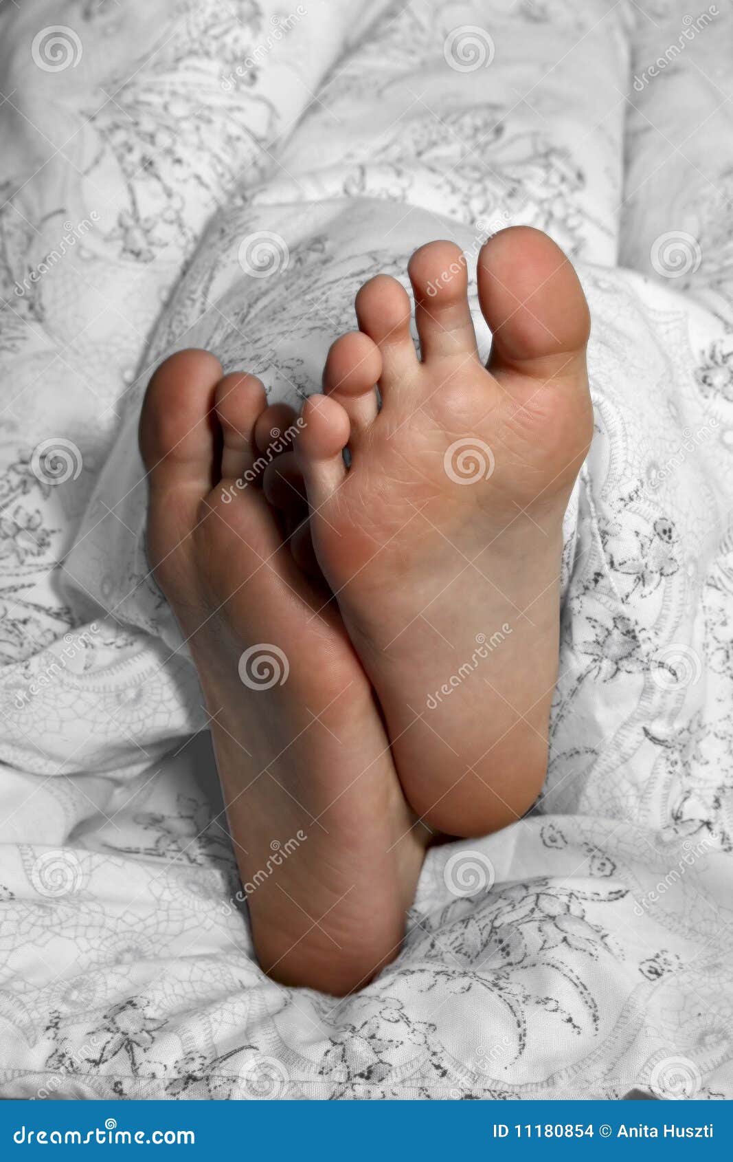 Feet in bed stock photo. Image of blanket, skin, foot - 11180854