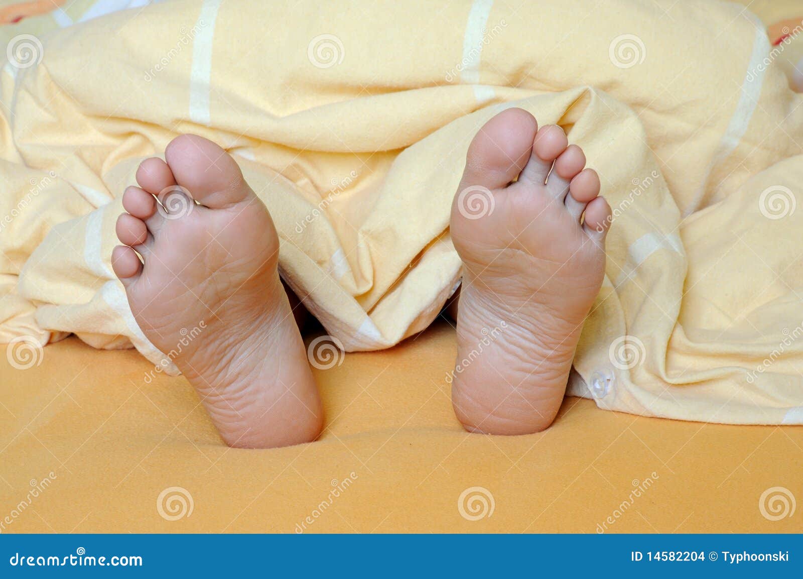 Feet in bed stock photo. Image of sleep, caucasian, woman - 14582204