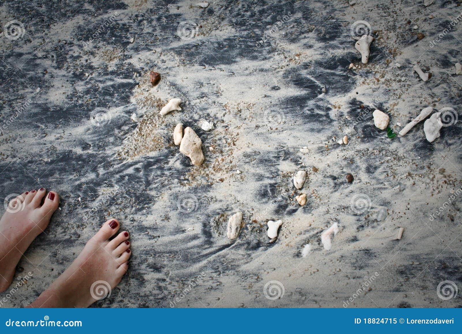 Feet on corals stock image. Image of feet, strand, sand - 18824715
