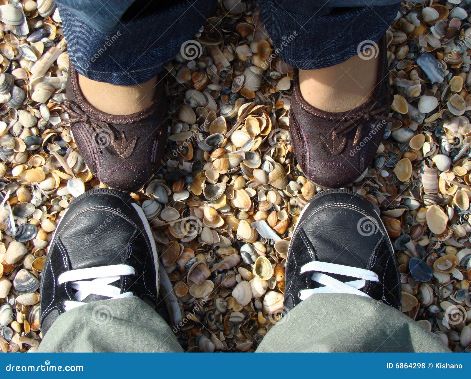 Feet of Couple on Sea Shells Stock Photo - Image of people, standing ...