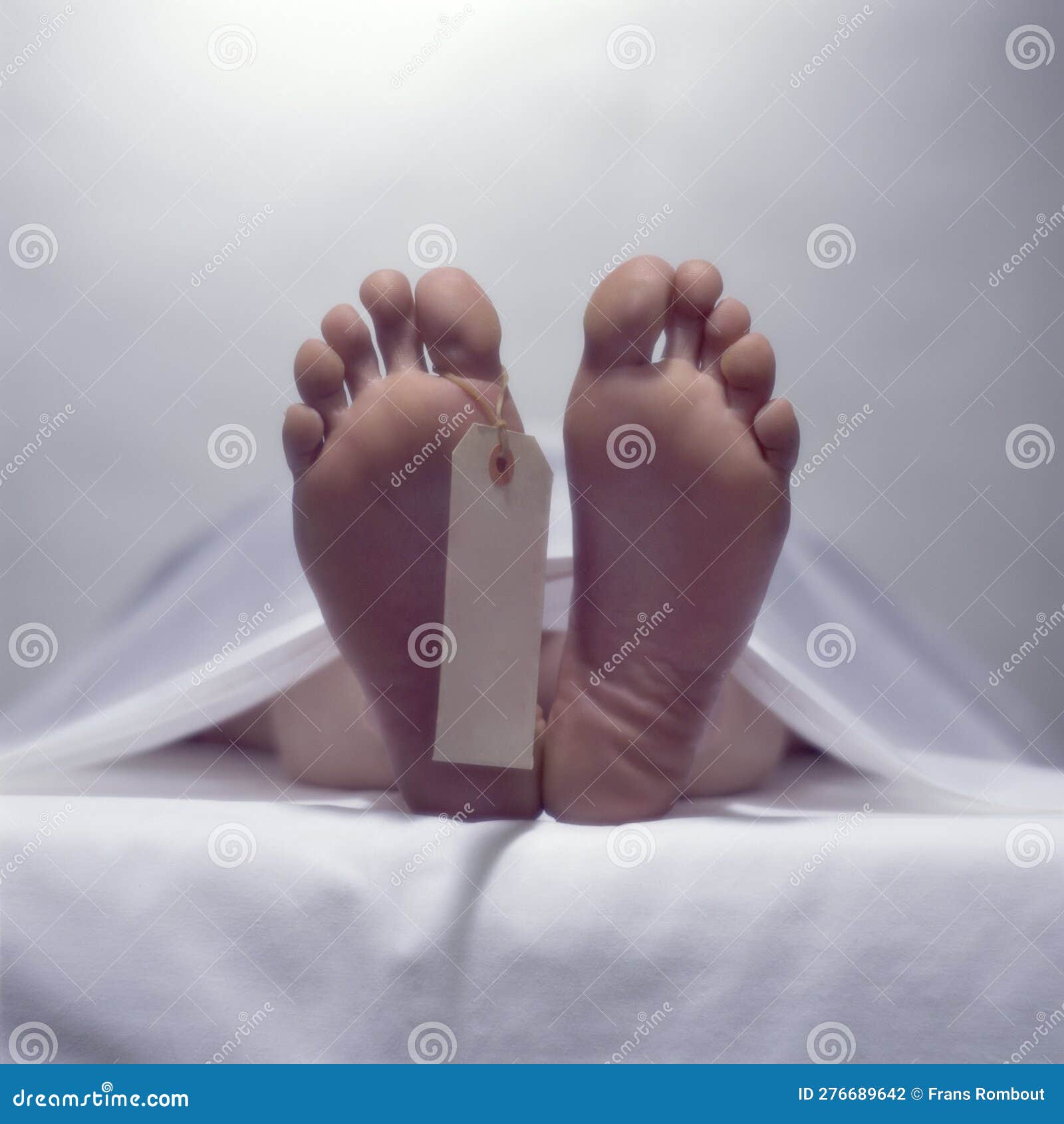 Feet of a Dead Corpse with a Label in the Morgue Stock Photo - Image of ...