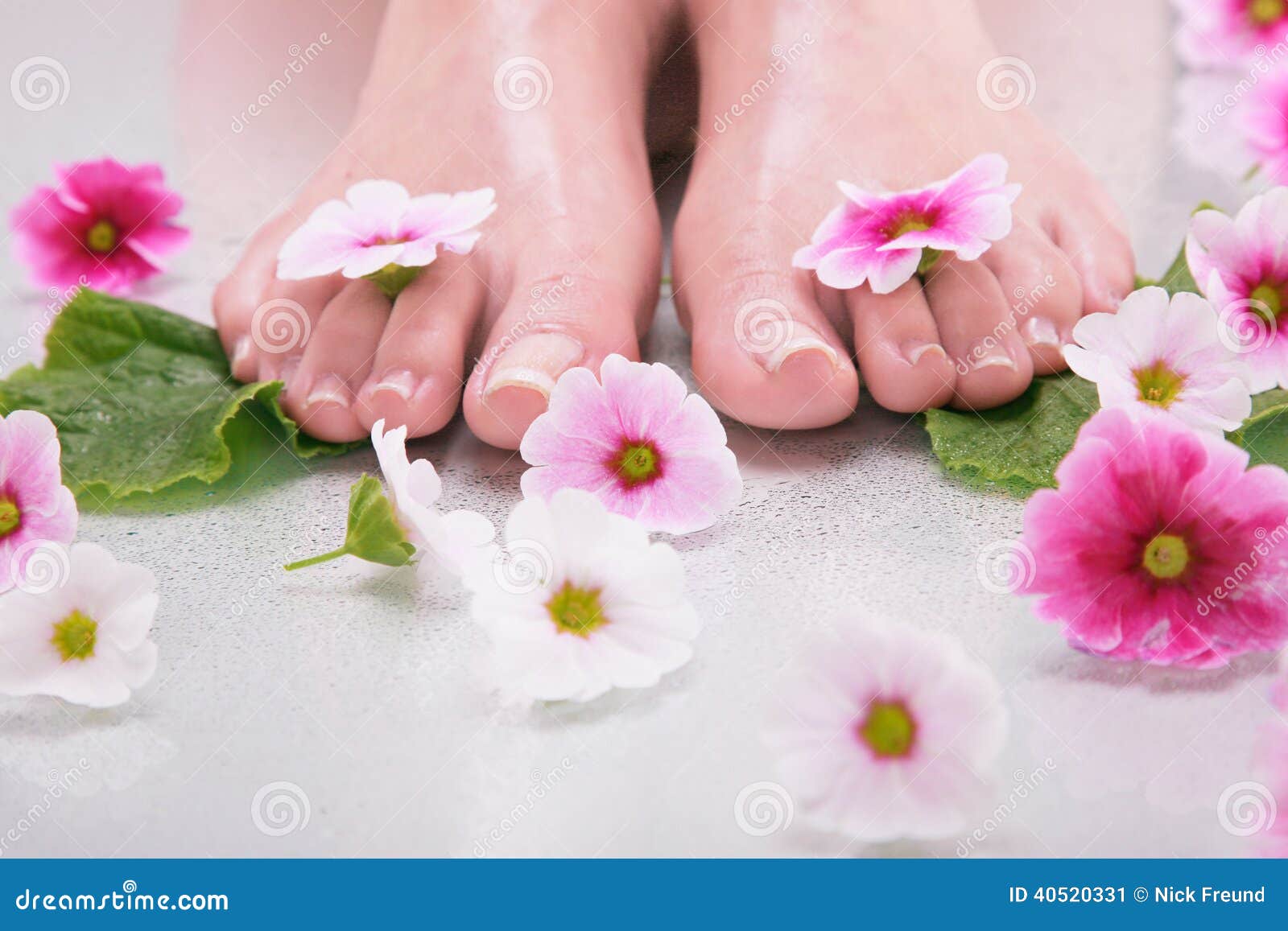 Feet Decorated with Flowers Stock Image - Image of attractive, care ...