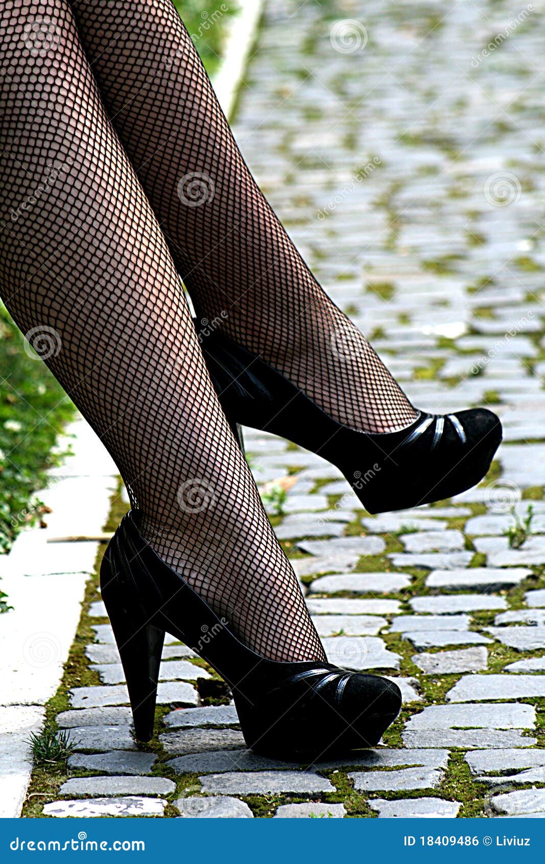 Feet in fishnet stockings stock photo. Image of fishnet - 18409486