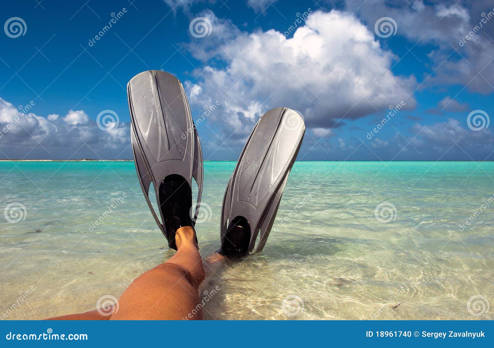 Feet in flippers stock photo. Image of active, dream - 18961740