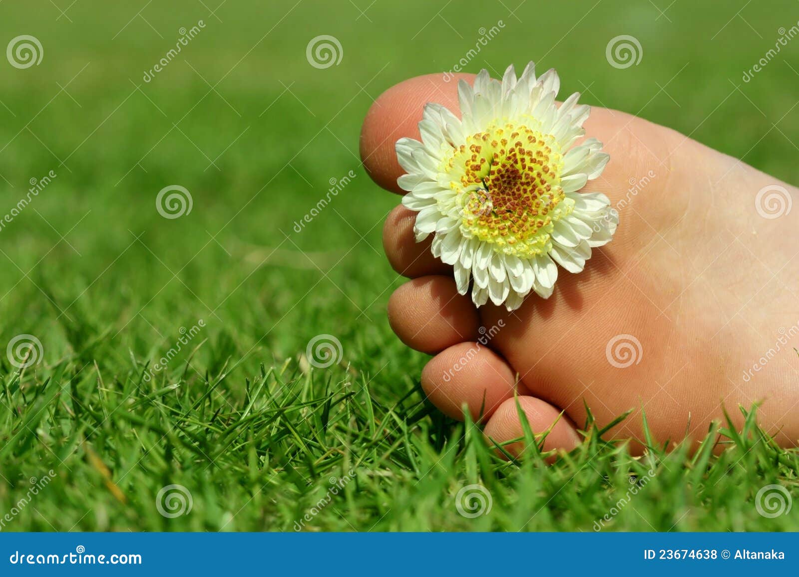Feet and the flower stock photo. Image of closeup, holiday - 23674638