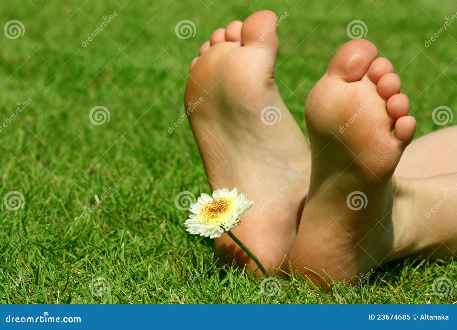 Feet and the flower stock image. Image of light, lawn - 23674685