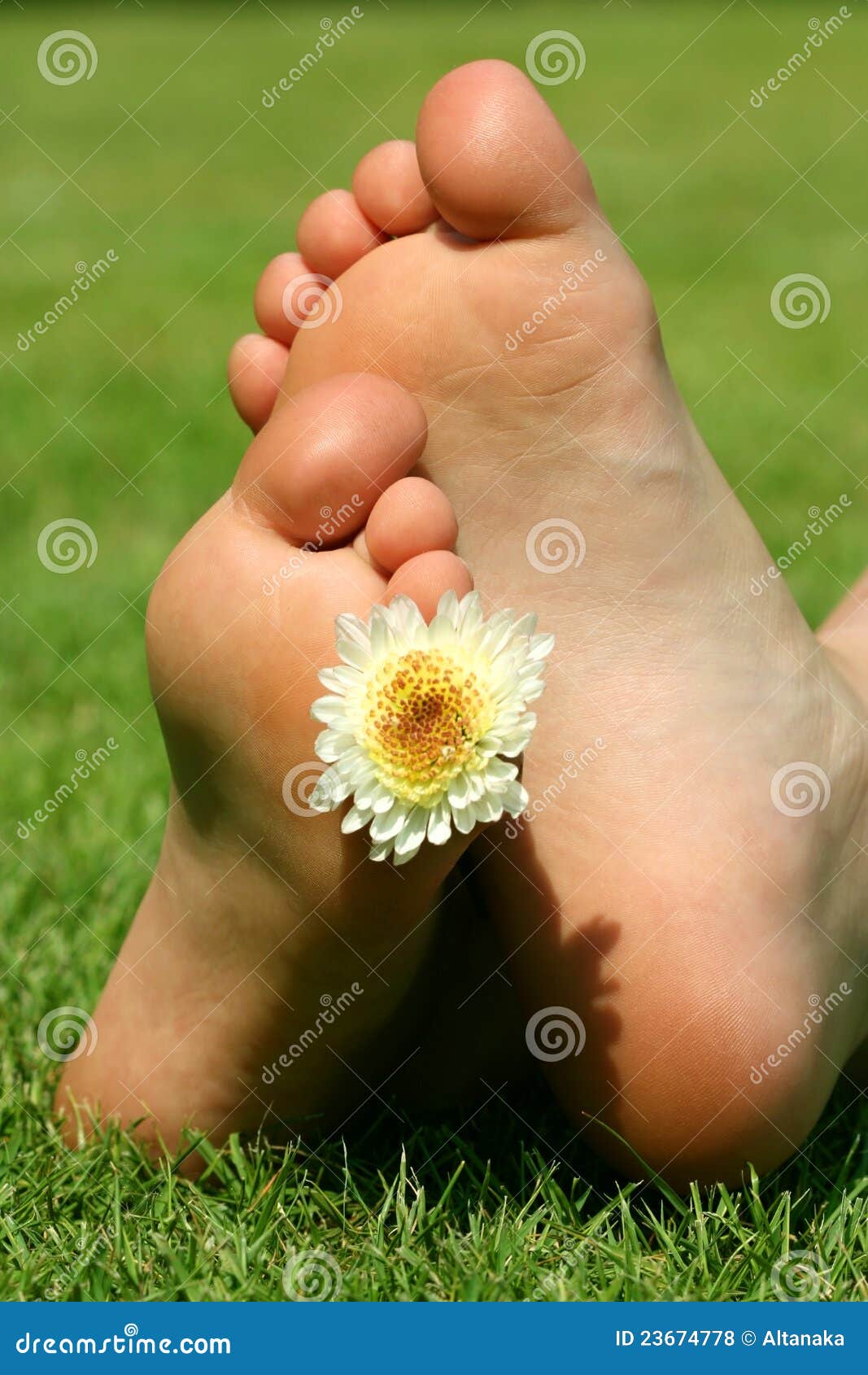 Feet and the flower stock photo. Image of body, closeup - 23674778