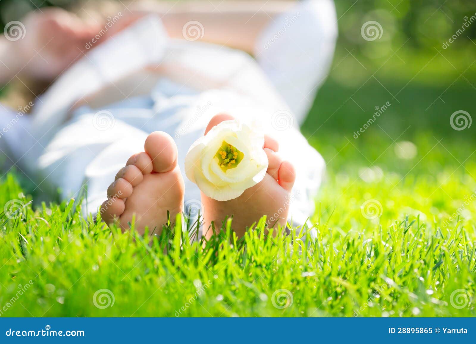 Feet with flower stock image. Image of grass, rose, human - 28895865