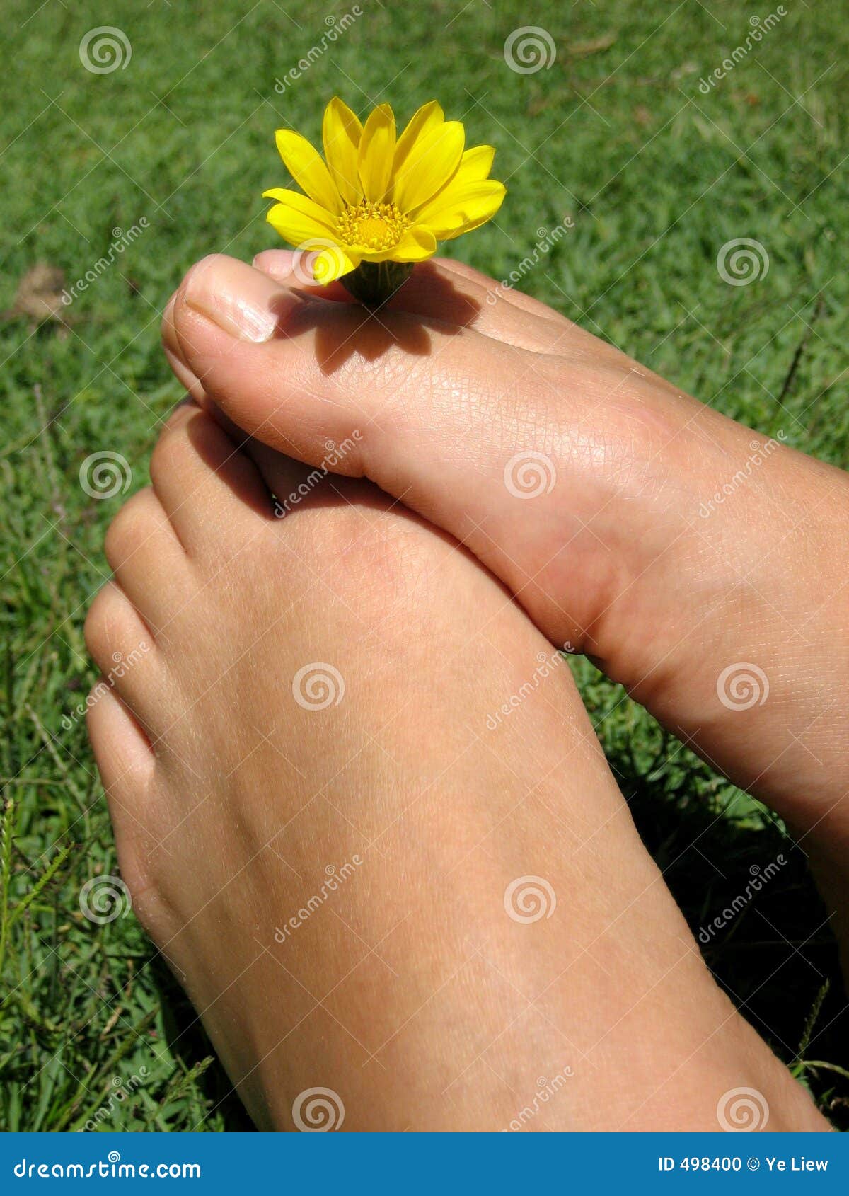 Feet Flower stock photo. Image of yellow, feet, girl, foot - 498400