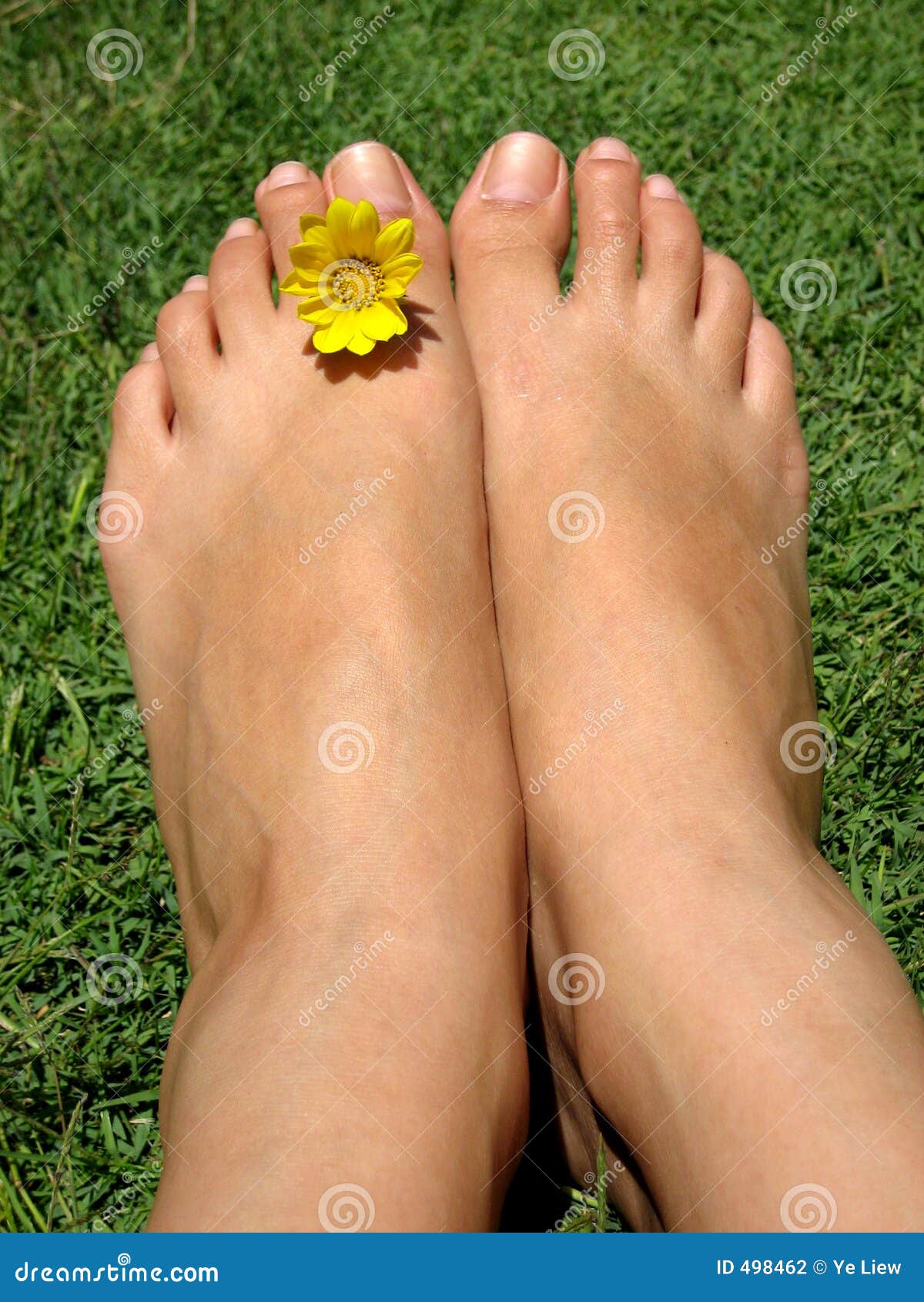 Feet Flower stock photo. Image of delicate, carefree, female - 498462