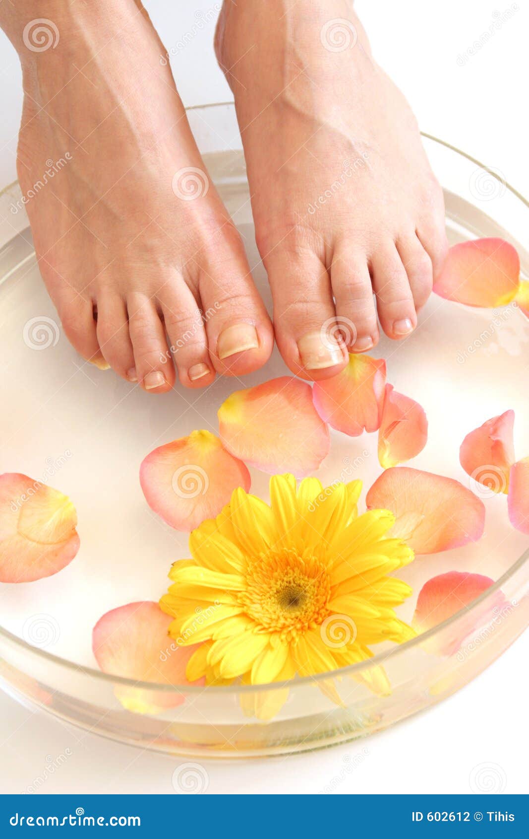 Feet and flowers stock photo. Image of colors, fresh, romantic - 602612