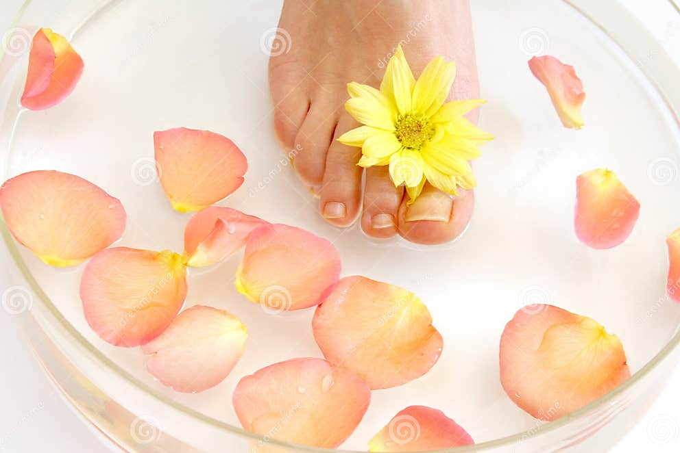 Feet and flowers stock photo. Image of beauty, floor, femininity - 602616