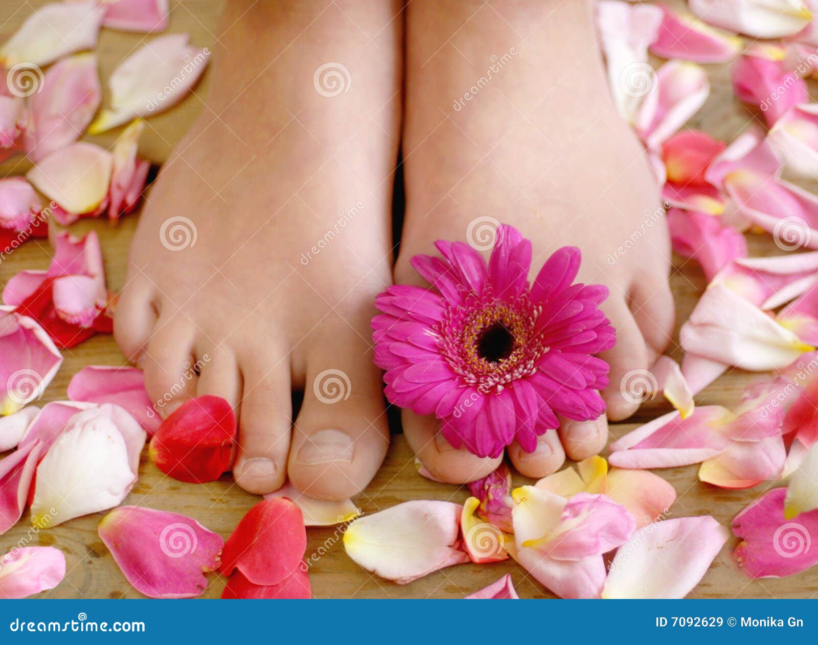 Feet and flowers stock image. Image of hygiene, beauty - 7092629