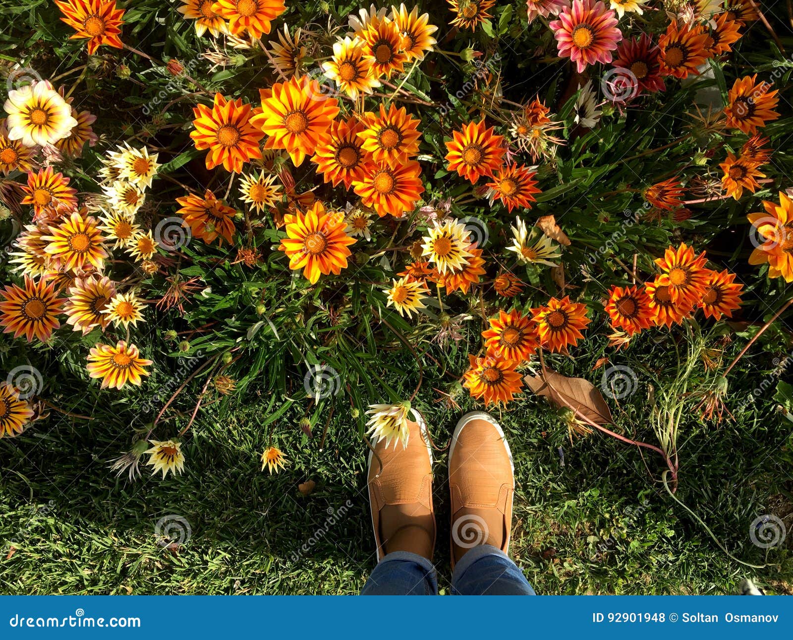 Feet and flowers stock photo. Image of collection, enjoy - 92901948