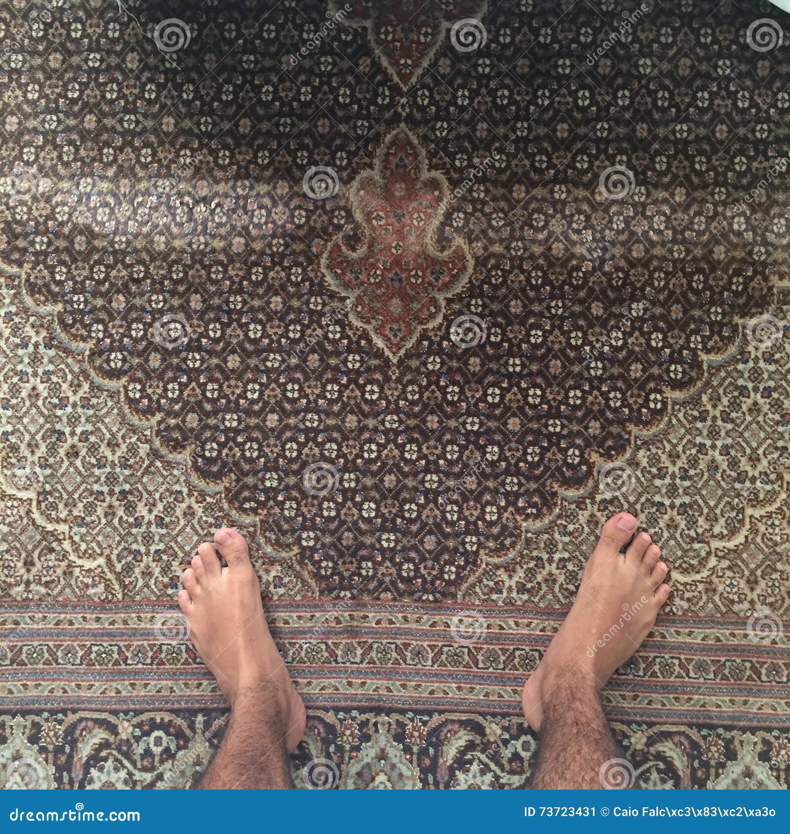 1 feet 1 foot stock image. Image of human, natural, humanity - 73723431