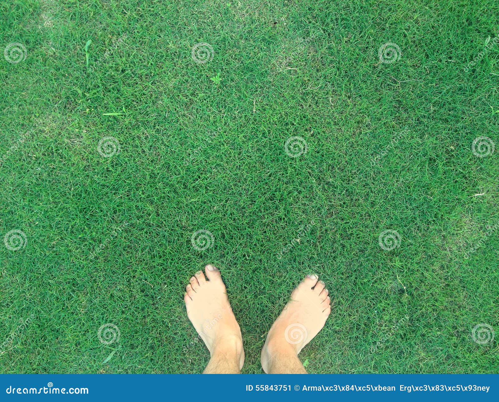 Feet on Grass stock image. Image of nature, summer, garden - 55843751