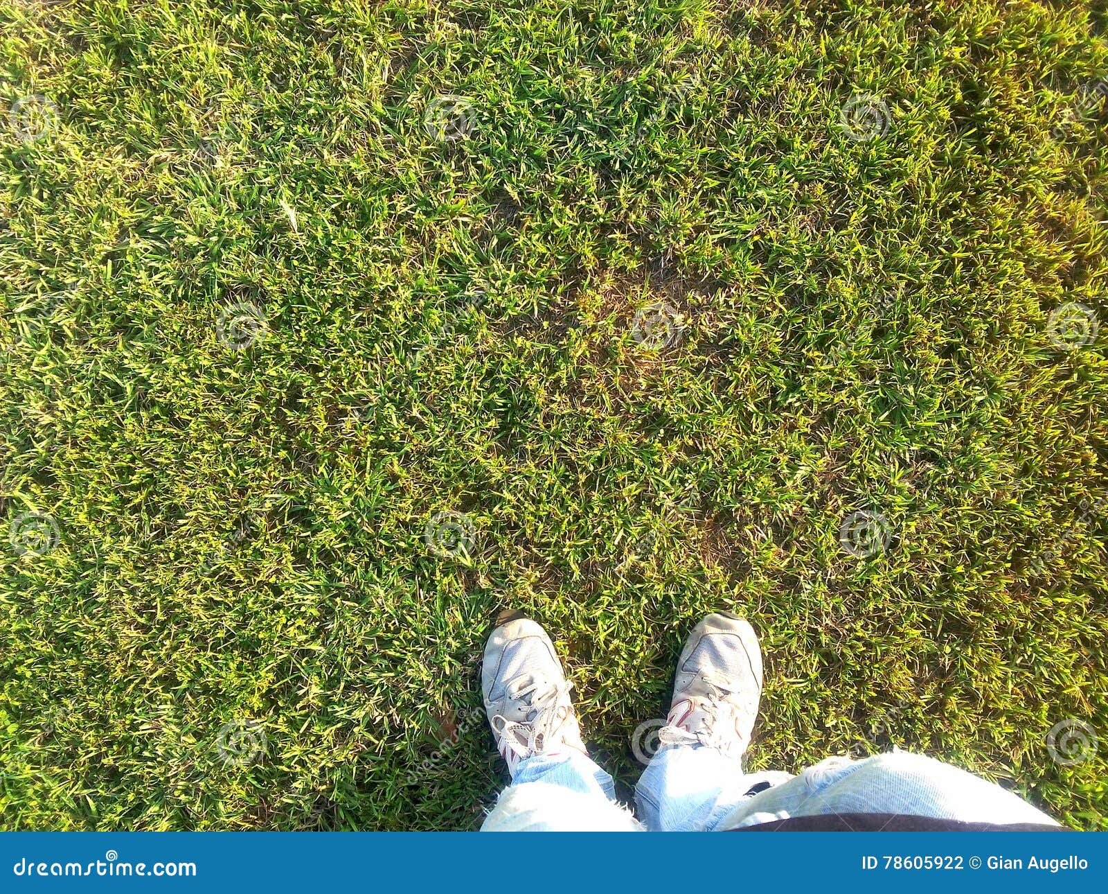 Feet and grass stock photo. Image of feet, nature, shoes - 78605922