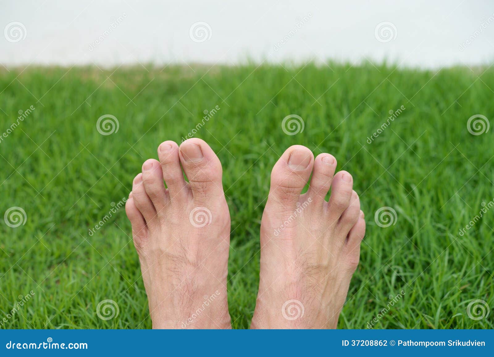 Feet on the green stock photo. Image of green, view, grass - 37208862