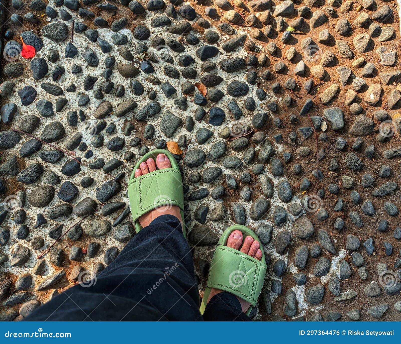 Feet in Green Sandals Walking on the Path Stock Photo - Image of ...