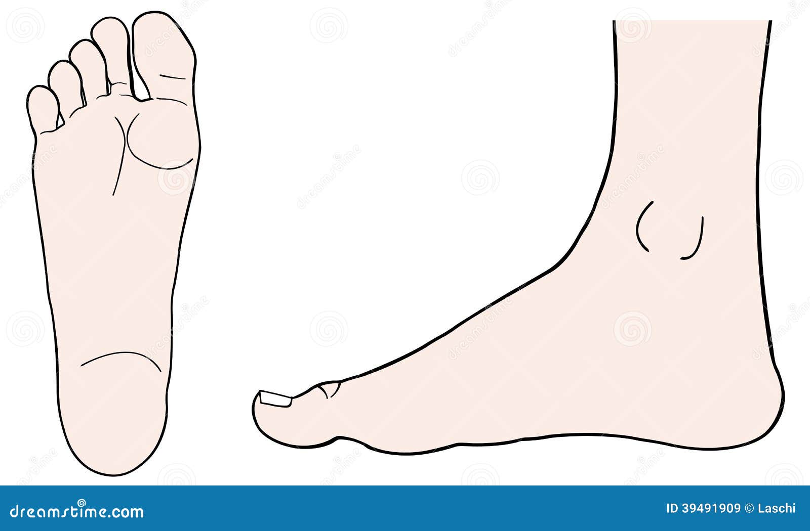 Feet stock vector. Illustration of thumb, vector, body - 39491909