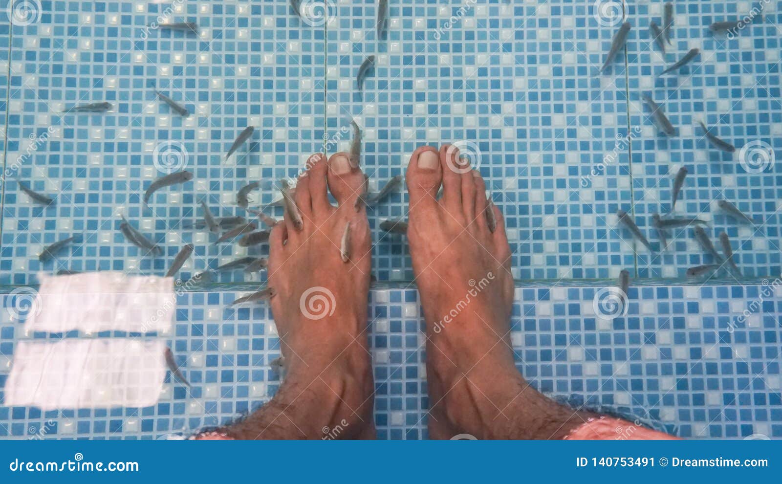 The Fish Spa. Feet Inside the Water Stock Image - Image of aquarium ...