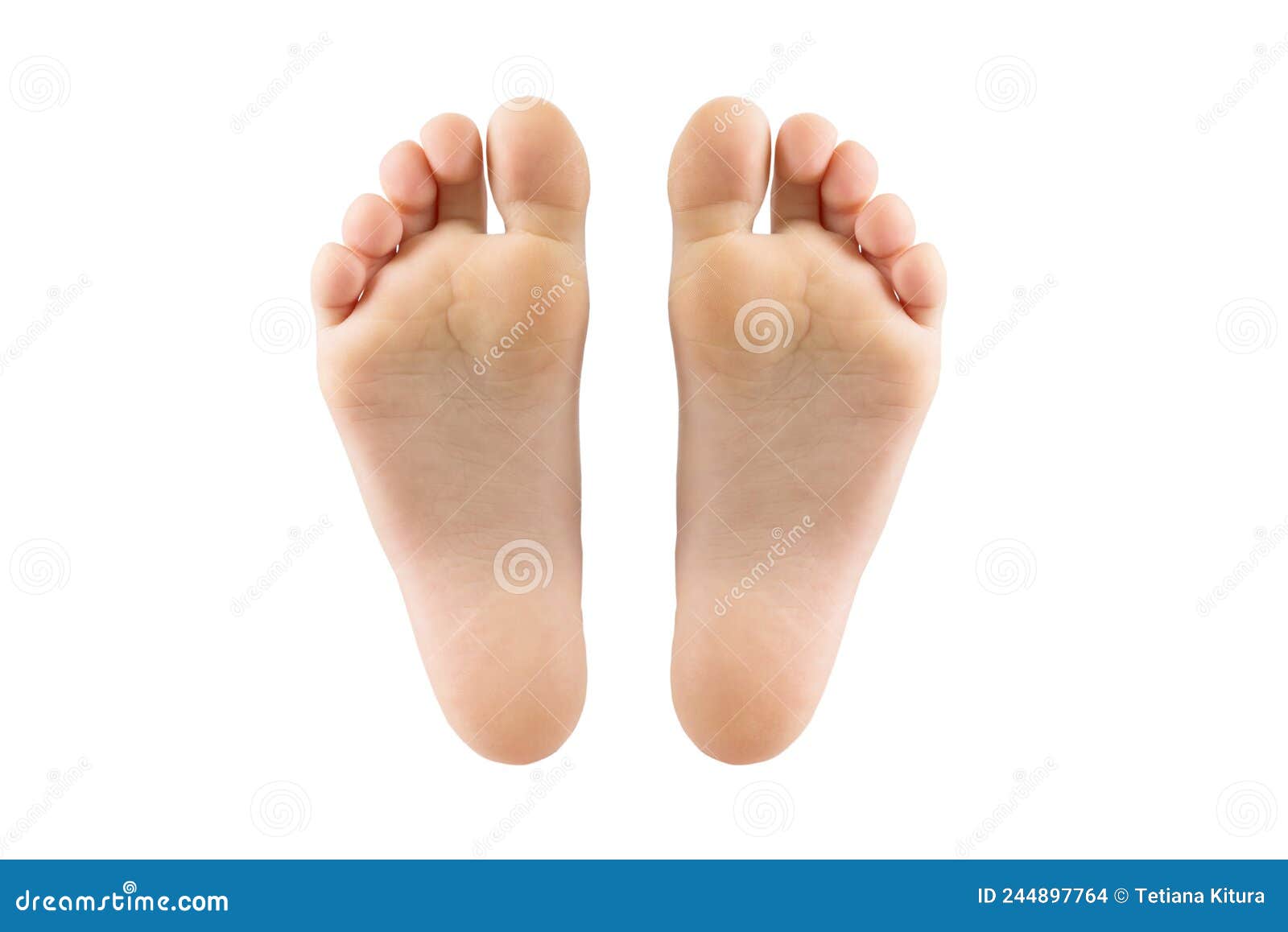 Feet Isolated on White Background Stock Photo - Image of left ...