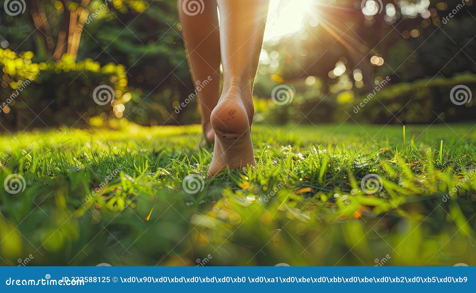 Feet on Lawn Grass. Selective Focus Stock Image - Image of nature, legs ...