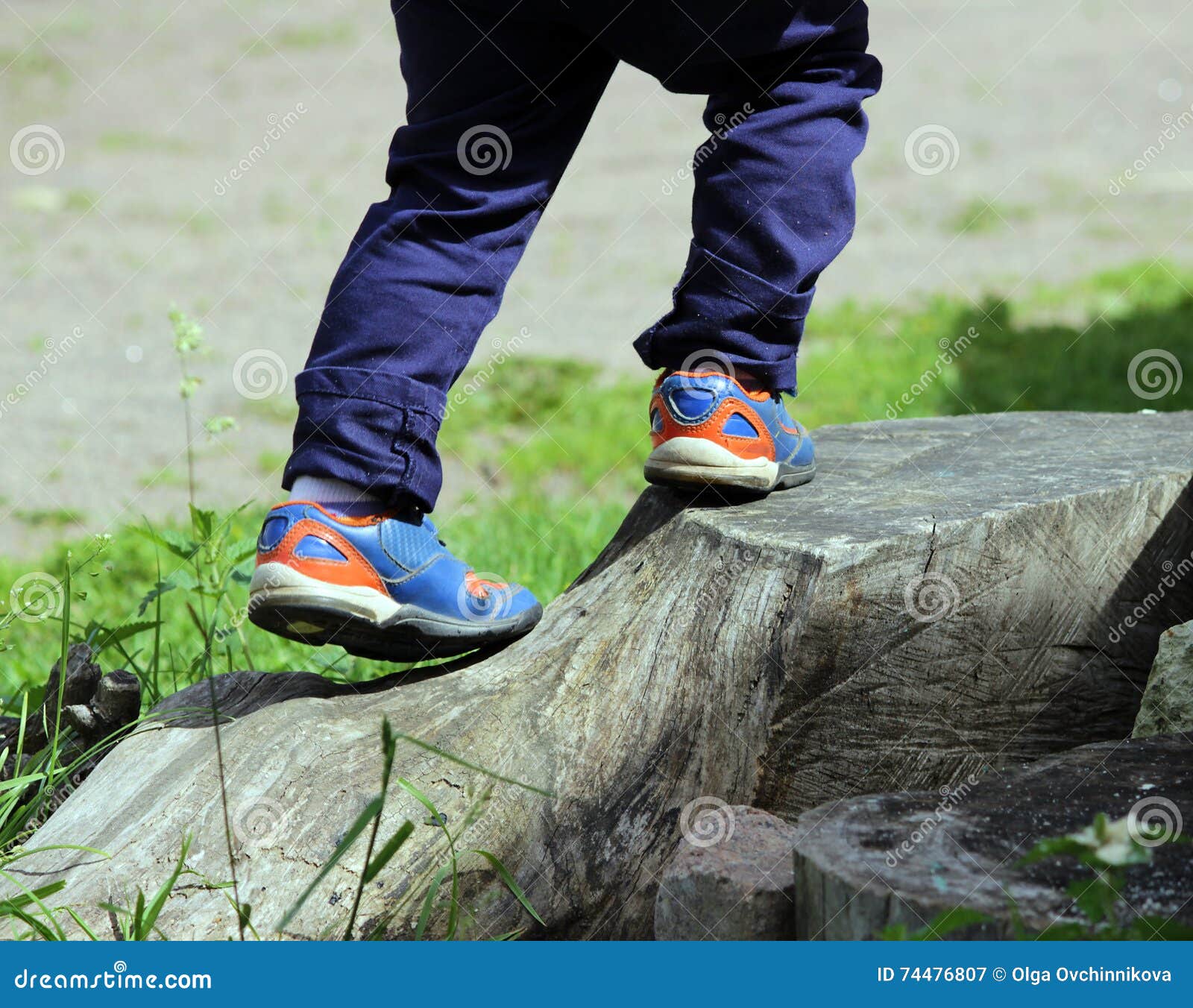 Feet of a Little Boy Who Climbs on the Big Tree Stump Stock Image ...