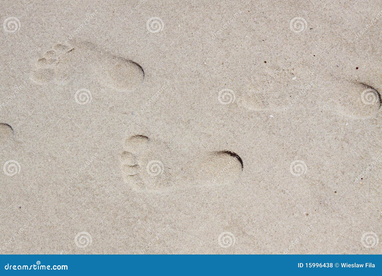 Feet marks stock photo. Image of background, sand, abstract - 15996438