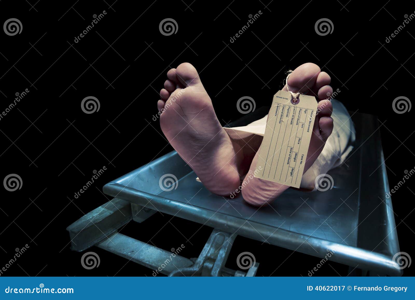 Feet on a Morgue Table with Toe Tag with Dramatic Lighting Stock Image ...