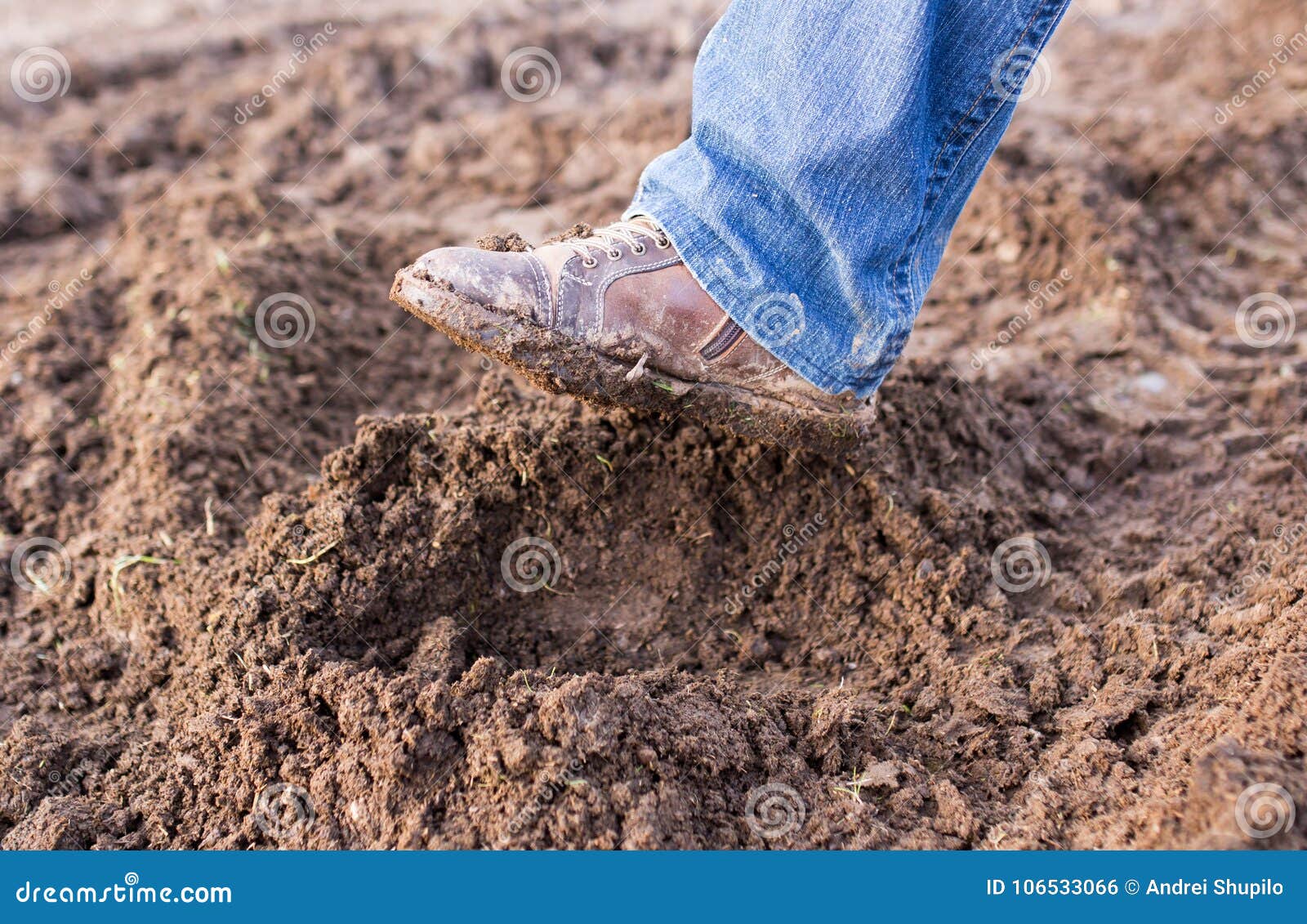 Feet in the mud stock photo. Image of walk, nature, rainy - 106533066