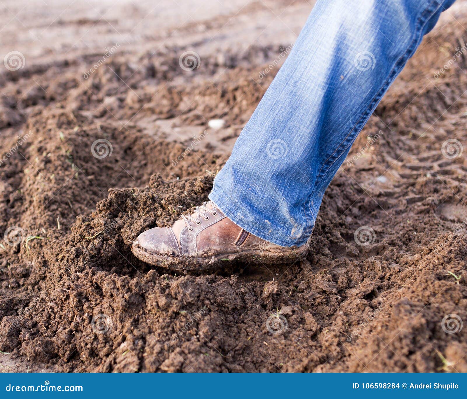 Feet in the mud stock photo. Image of water, dirty, path - 106598284