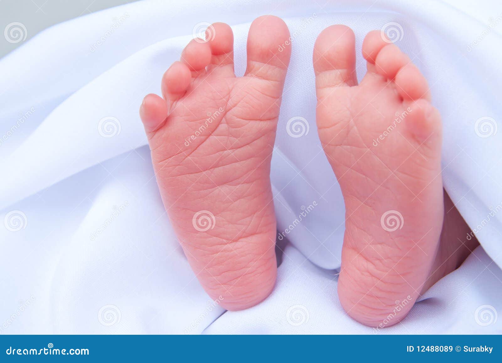 Feet of newborn baby stock image. Image of toes, young - 12488089