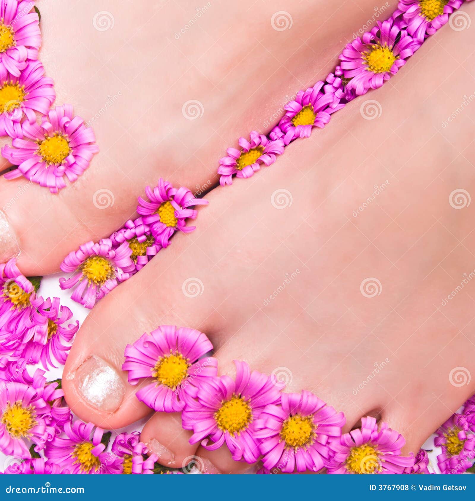 Feet with pink flowers stock photo. Image of female, barefoot - 3767908