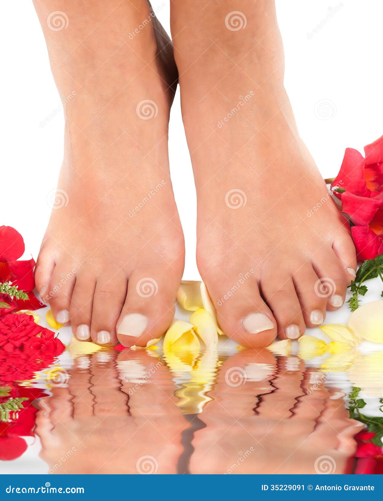 Feet qnd roses stock image. Image of hygiene, massage - 35229091